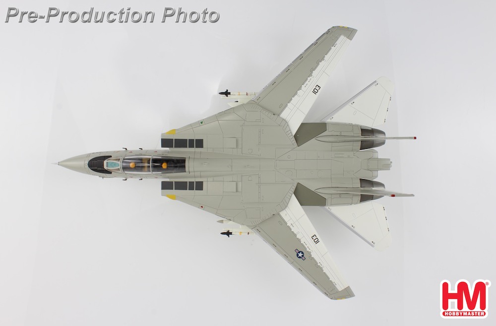 Grumman F14D Tomcat US Navy, "Tomcat Sunset" , VF-31, US Navy, 2006 ...