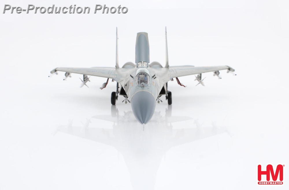 Sukhoi Su-27 Flanker "Compass Ghost Grey scheme" Ukrainian Air Force ...