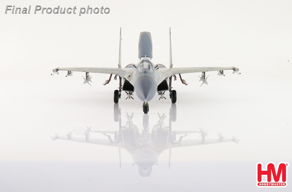 Sukhoi Su-27 Flanker "Compass Ghost Grey scheme" Ukrainian Air Force ...