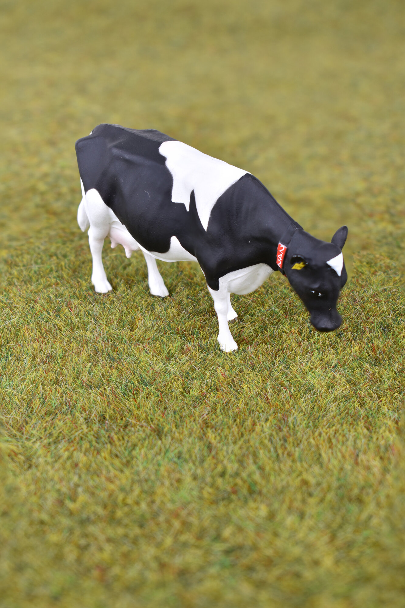 Set of 4 cows - Holstein-Friesian cattle | Modelsnavigator.com