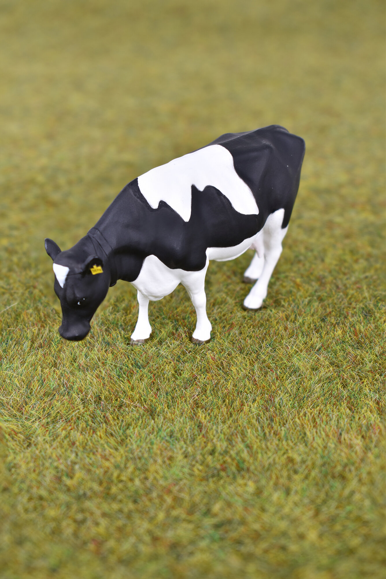 Set of 4 cows - Holstein-Friesian cattle | Modelsnavigator.com