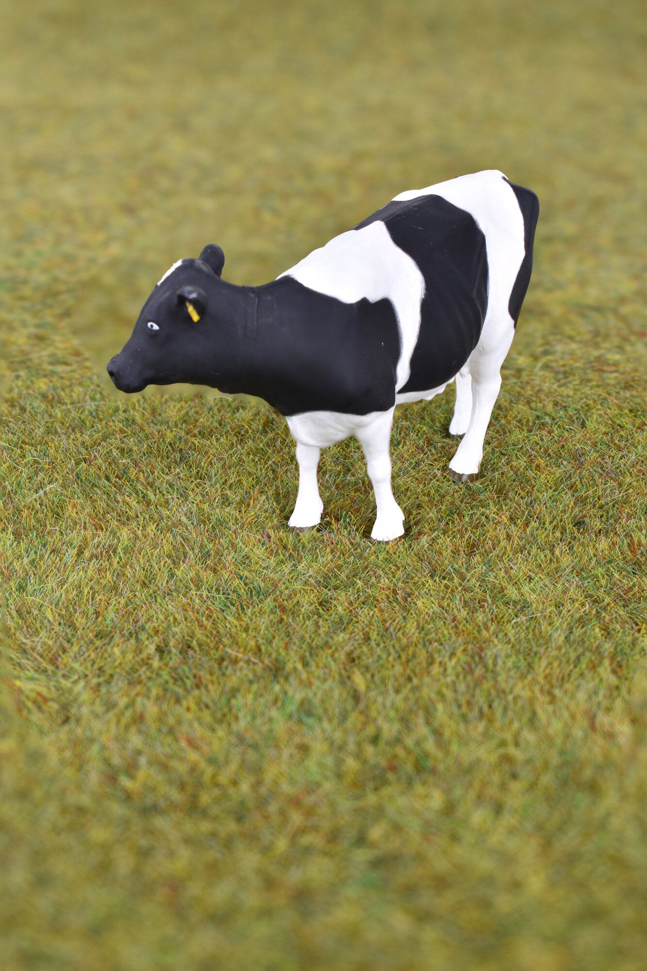 Set of 4 cows - Holstein-Friesian cattle | Modelsnavigator.com