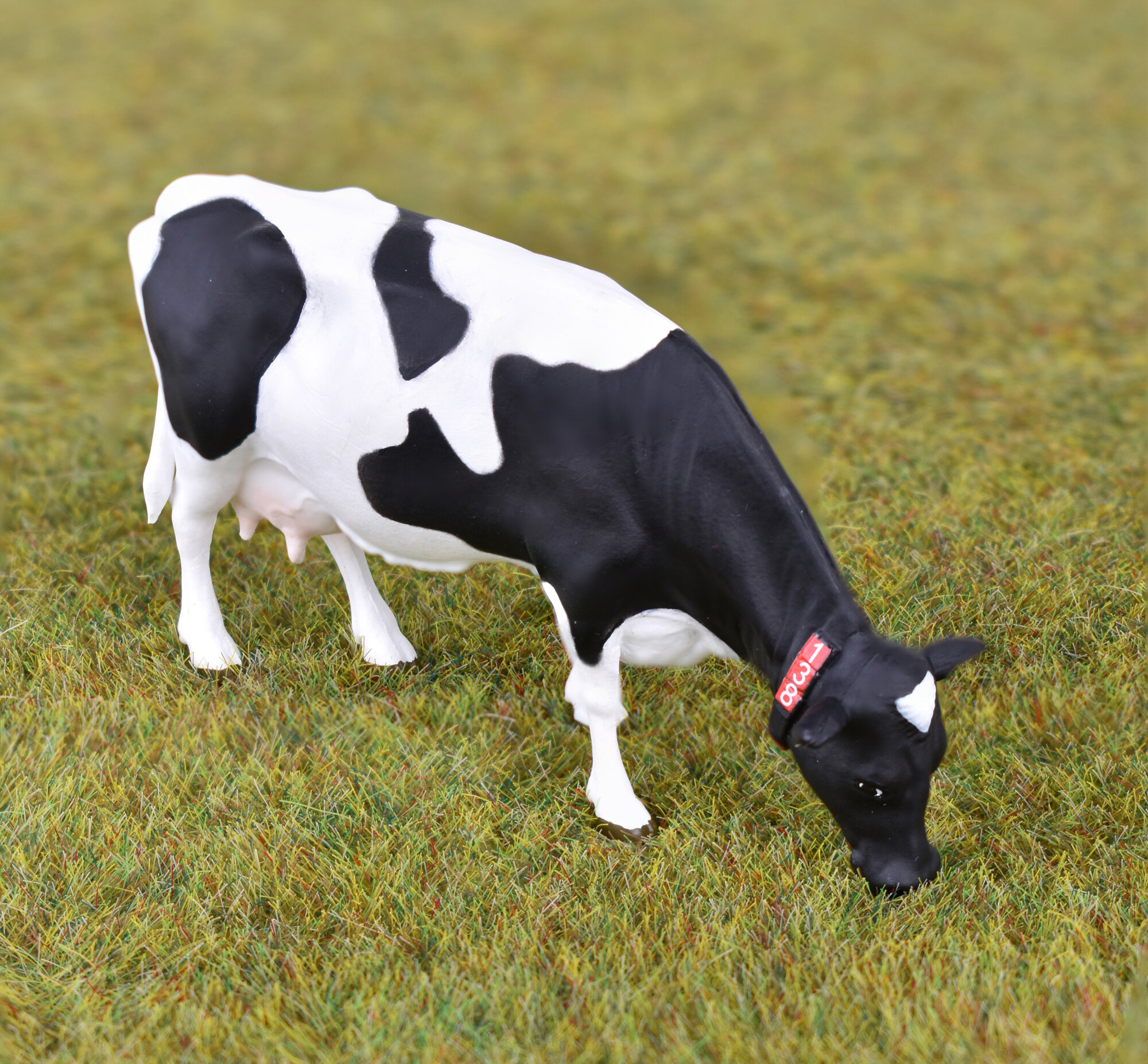 Set of 4 cows - Holstein-Friesian cattle | Modelsnavigator.com
