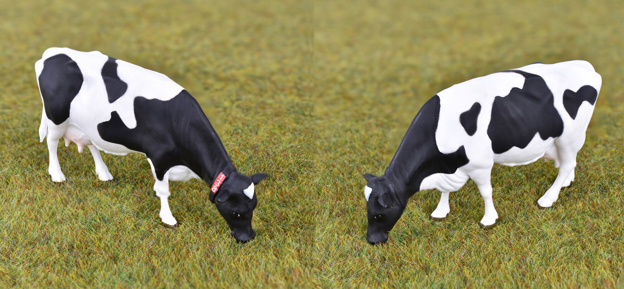 Set of 4 cows - Holstein-Friesian cattle | Modelsnavigator.com