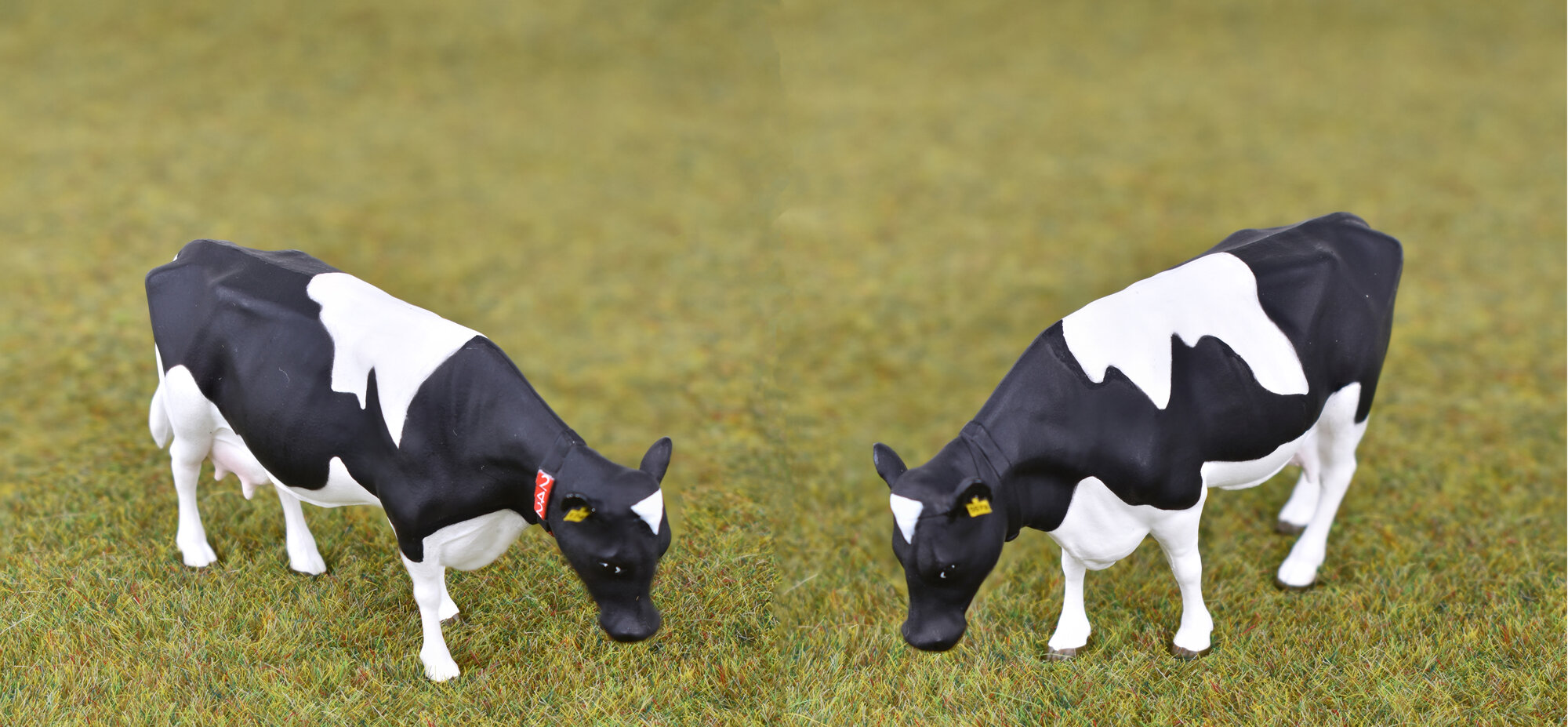 Set of 4 cows - Holstein-Friesian cattle | Modelsnavigator.com