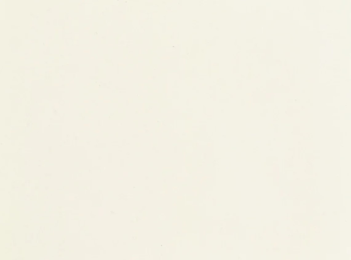 Acrylic Color, matt, White | Modelsnavigator.com