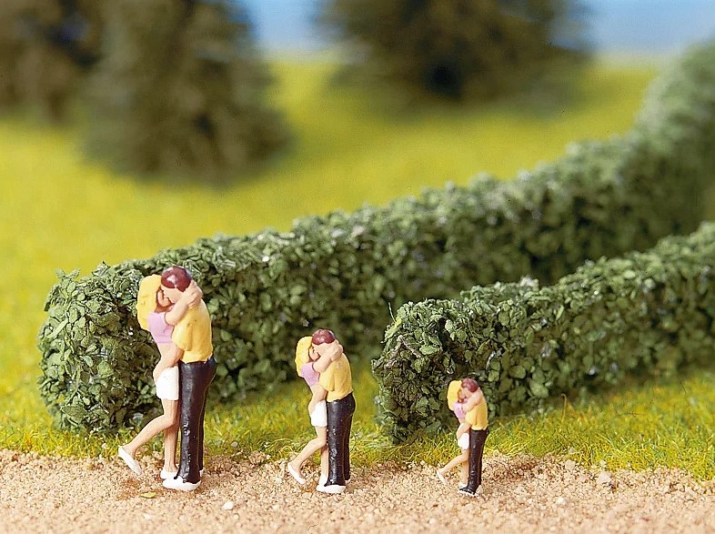 Model hedges | Modelsnavigator.com