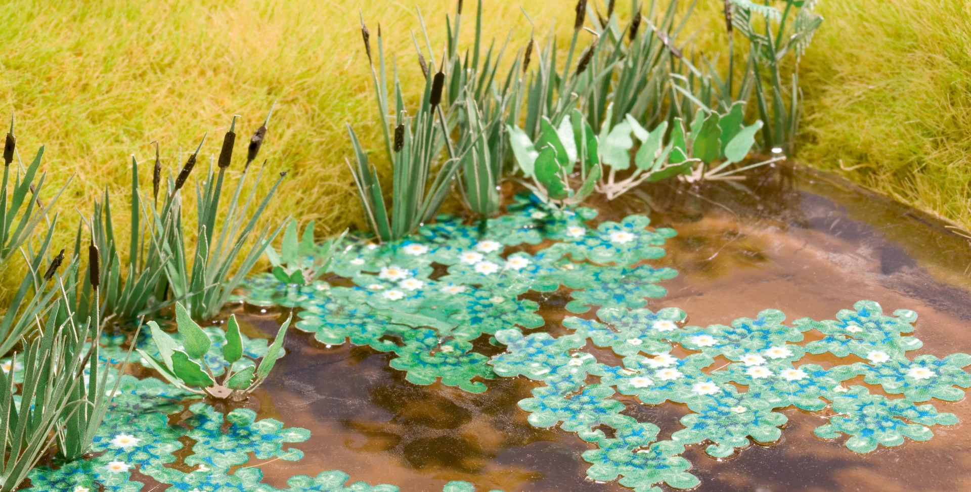 Lotus Flower | Modelsnavigator.com